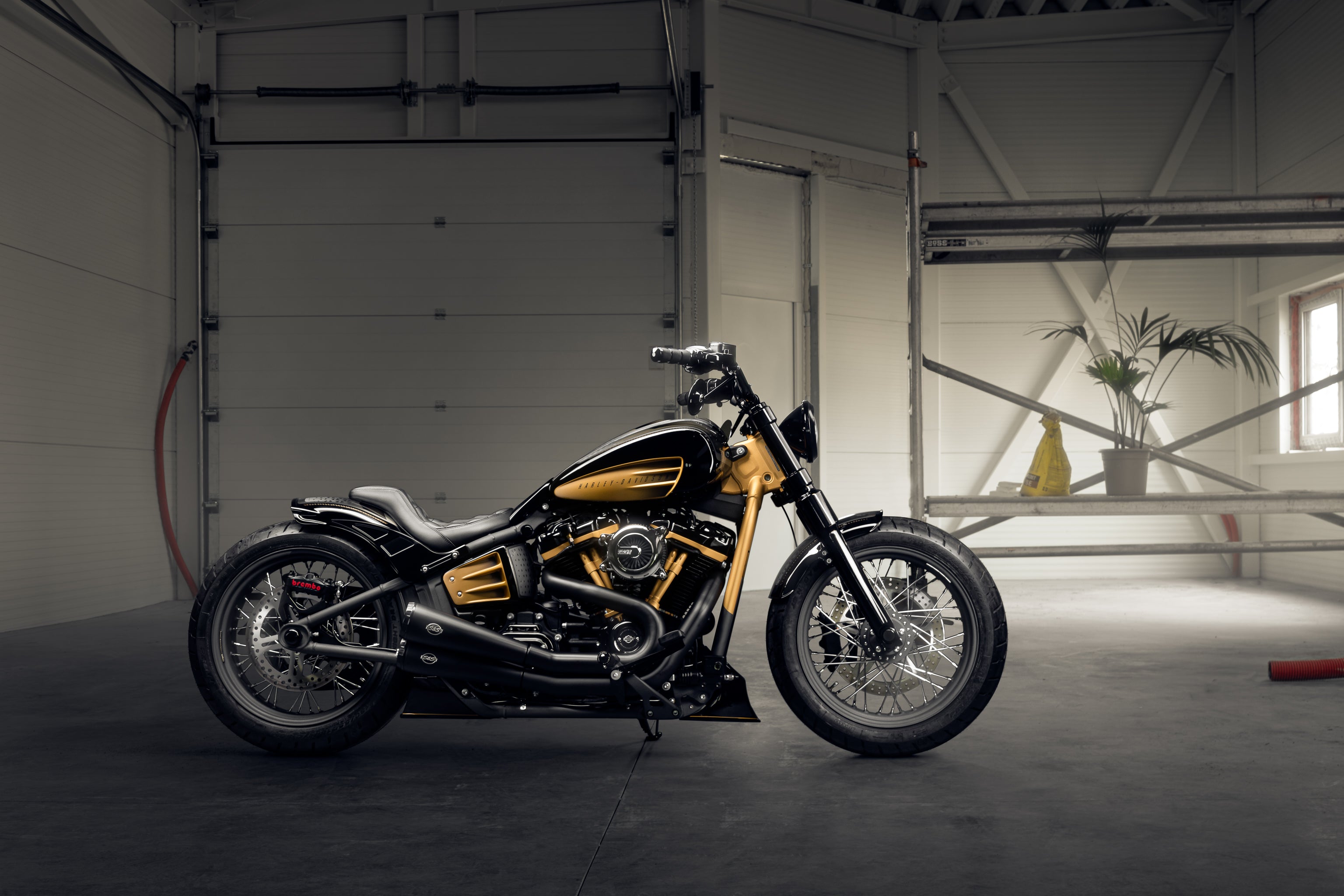 2023 Softail Standard FXST "GOLDEN ECLIPSE" – Killer Custom