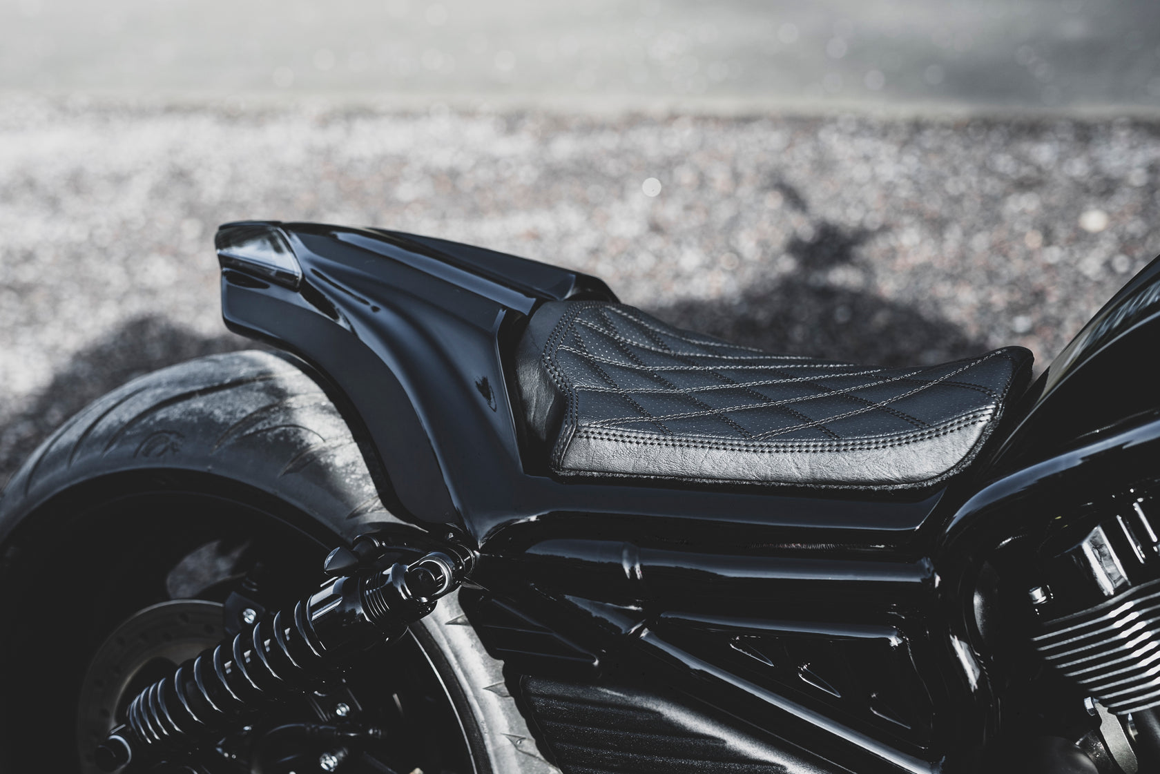 Harley-Davidson V-ROD Custom Rear Fender 2007-2017 "Snake" VRSCDX VRSCF ...